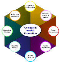 Health Promotion in Japan: Health Promotion in Japan